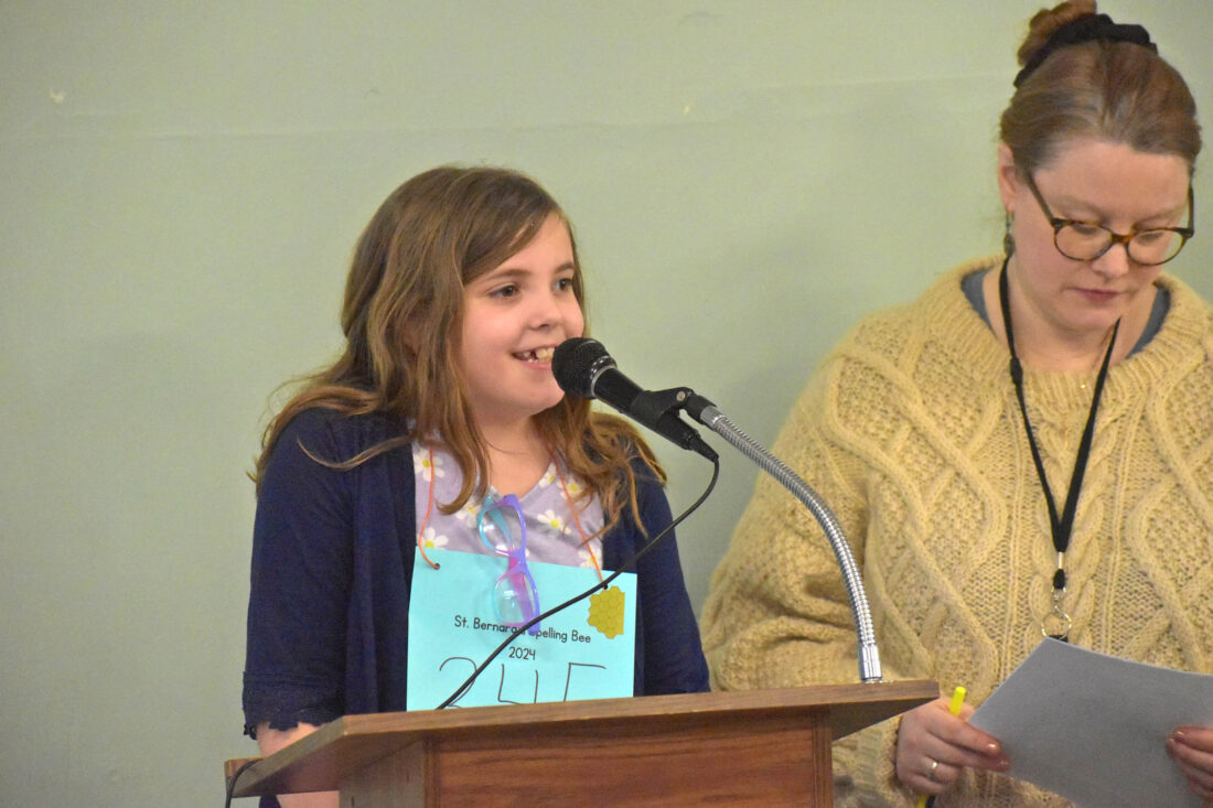 Buzz words | News, Sports, Jobs - Adirondack Daily Enterprise